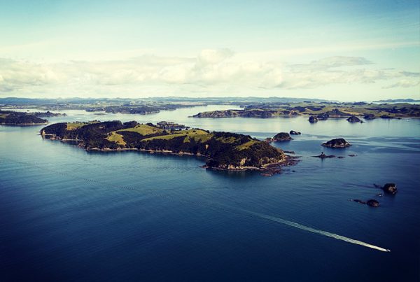 History of Moturoa | Boulder Bay Wines