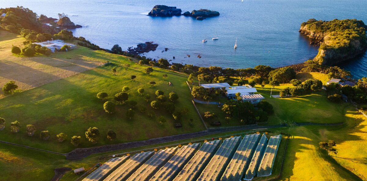 Boulder Bay news & info autumn 2025 | Boulder Bay Wines